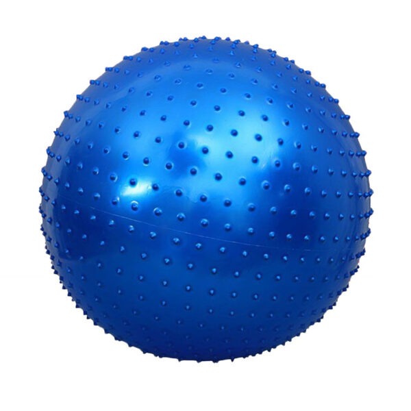 Spiky Gym Ball - Rove Kids Wear